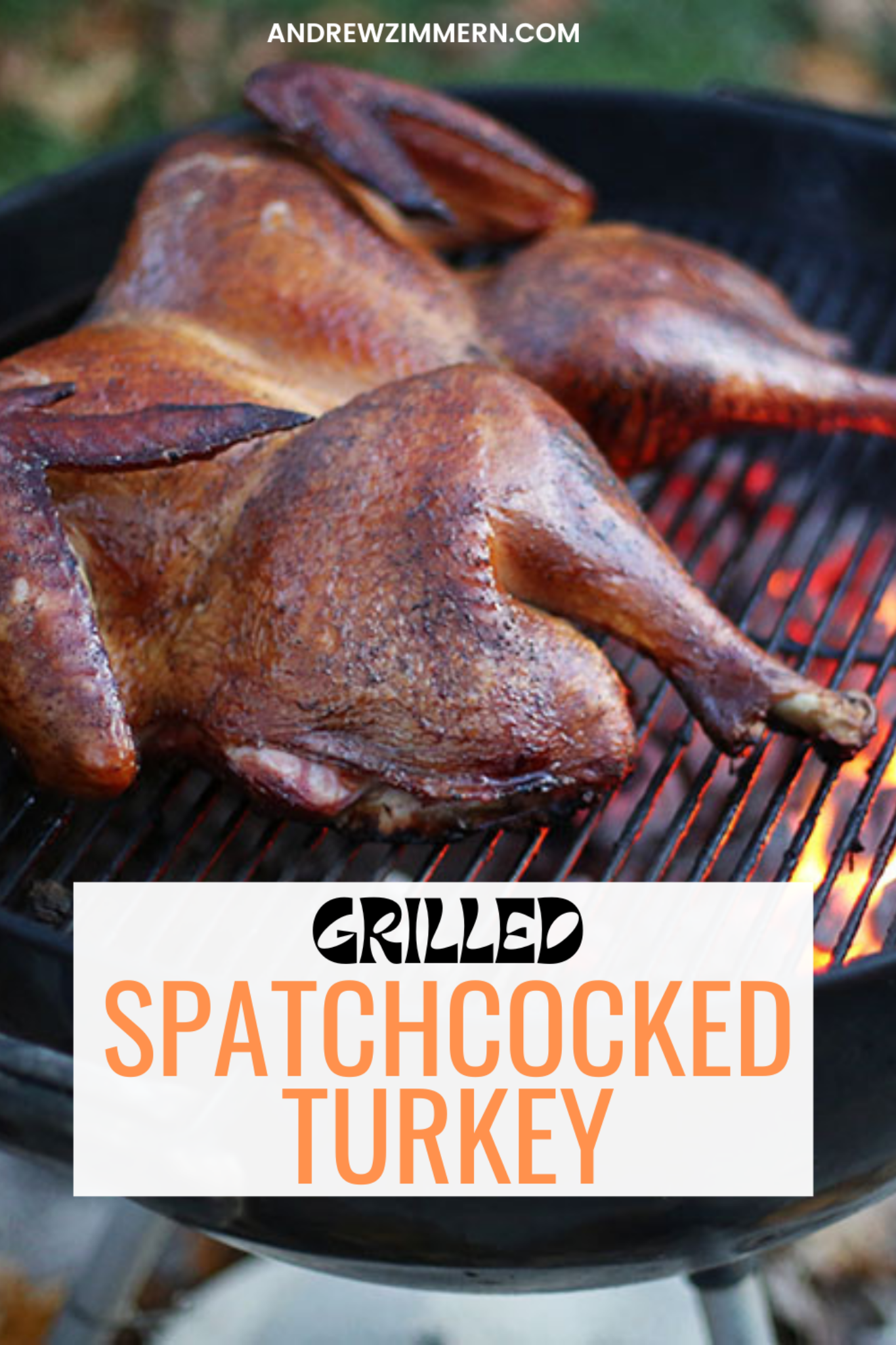 The Best Way to Grill a Turkey - Andrew Zimmern