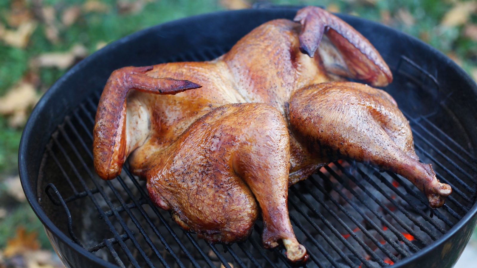 Thanksgiving Turkey & Mains - Andrew Zimmern