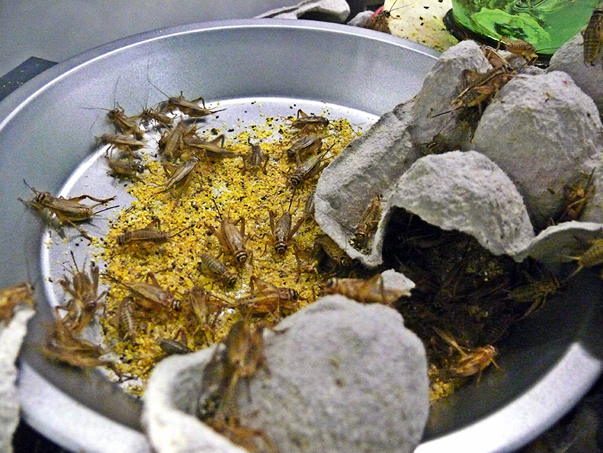 5 Questions: Kevin Bachhuber - Andrew Zimmern