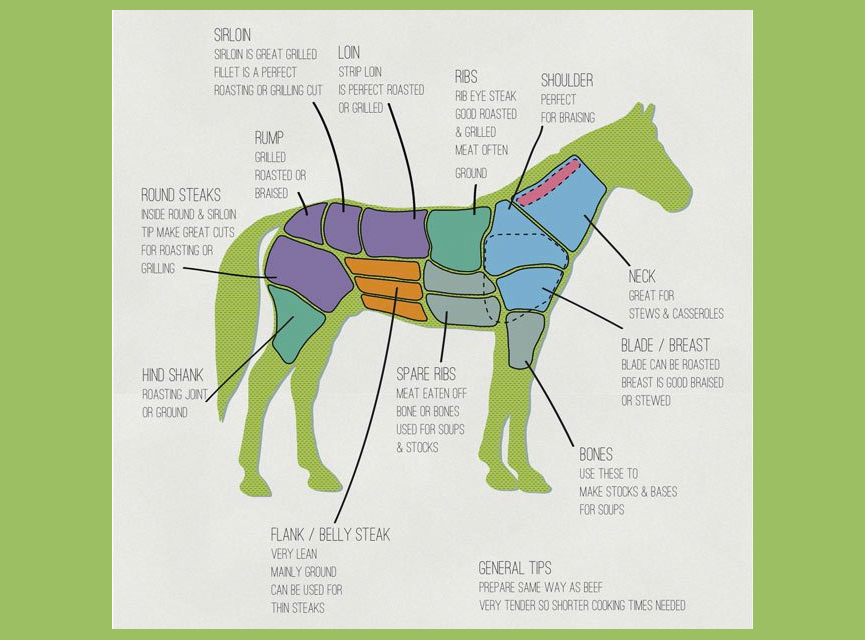 Horses For Courses - Andrew Zimmern