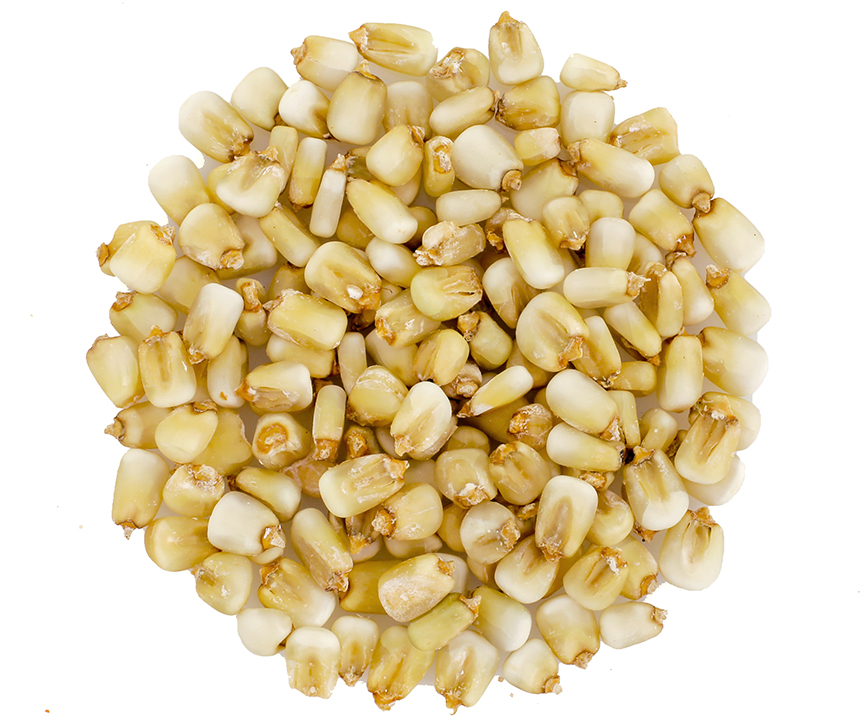 Posole Recipe - Andrew Zimmern