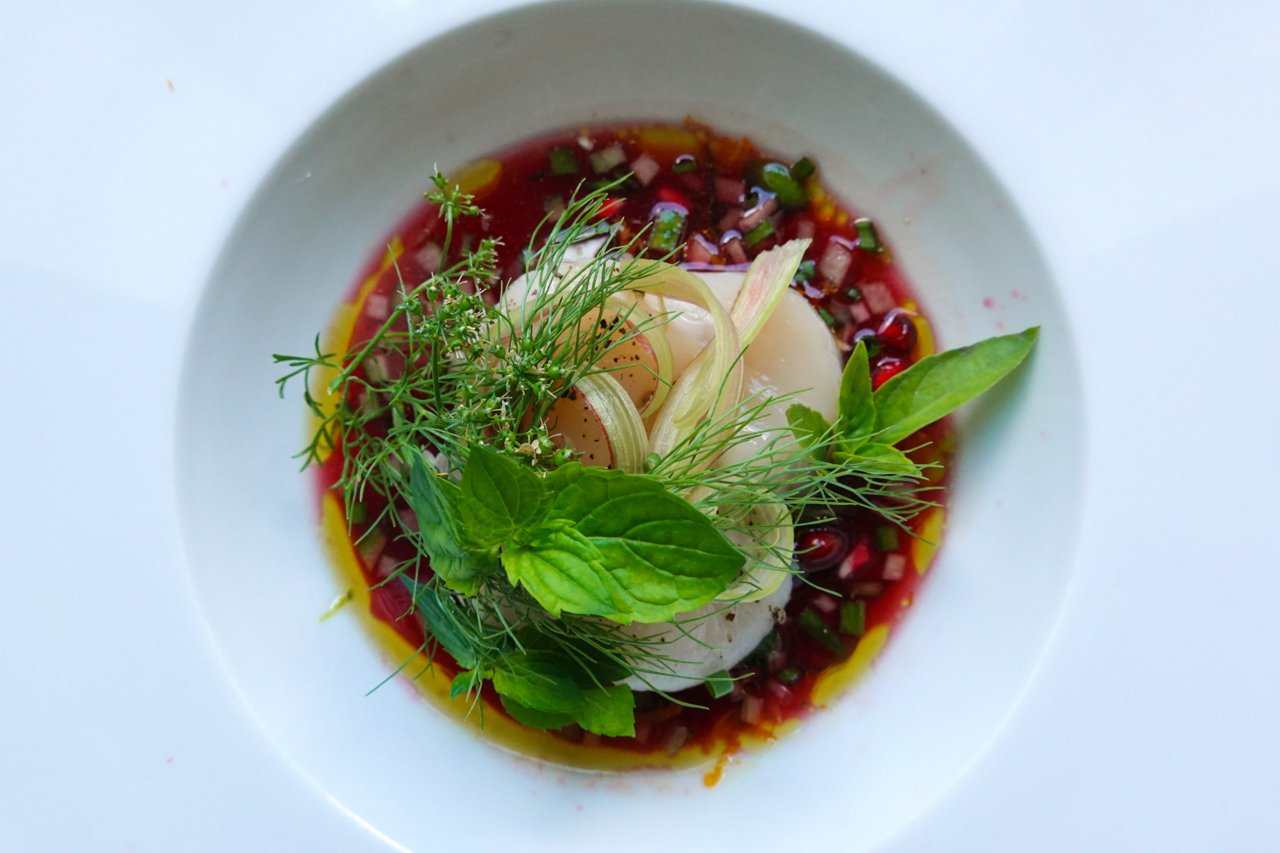 Scallop Aguachile with Rhubarb - Andrew Zimmern