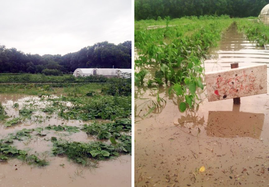 Urban Roots Needs Our Help! - Andrew Zimmern