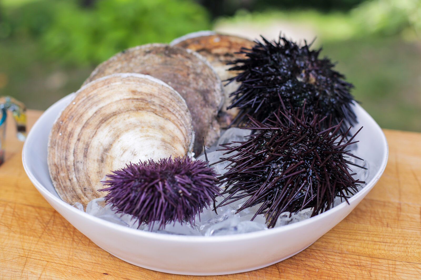 Scallops and Uni On the Half Shell - Andrew Zimmern